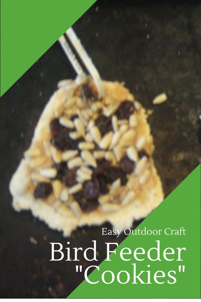 Easy bird feeder “cookies” – Use Resources Wisely