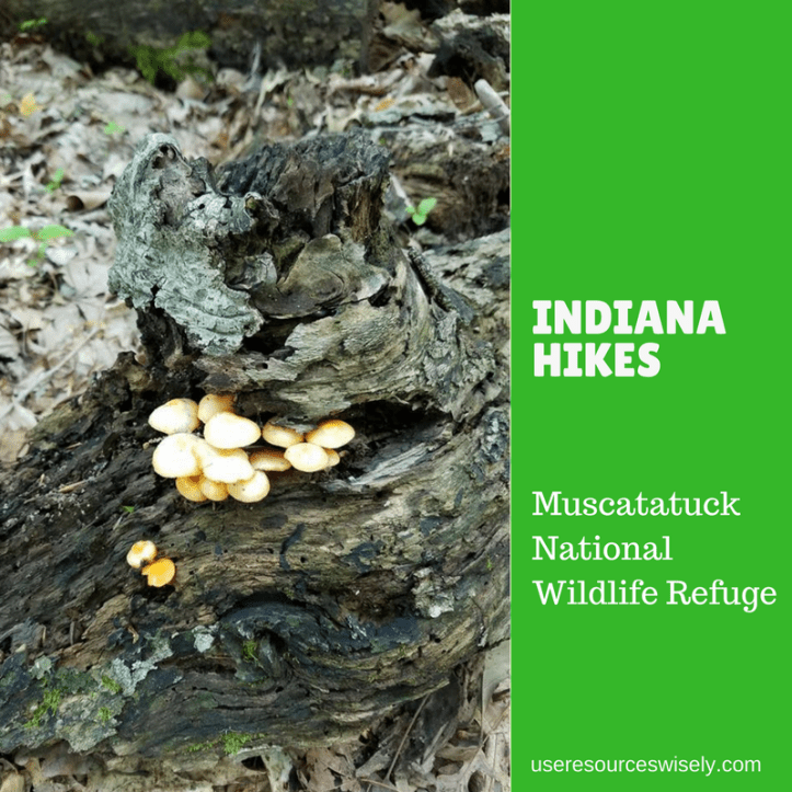 Indiana Hikes: Muscatatuck National Wildlife Refuge – Use Resources Wisely