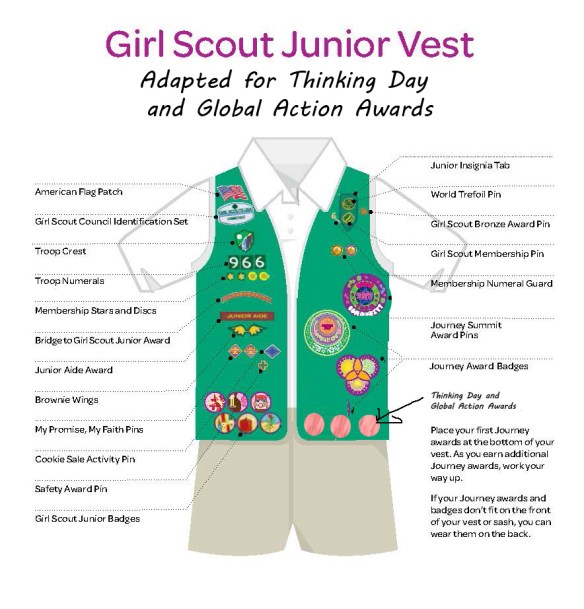 Junior Girl Scout Badge Ideas