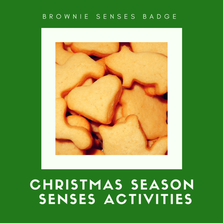 Brownie Senses Badge at Christmas Time – Use Resources Wisely