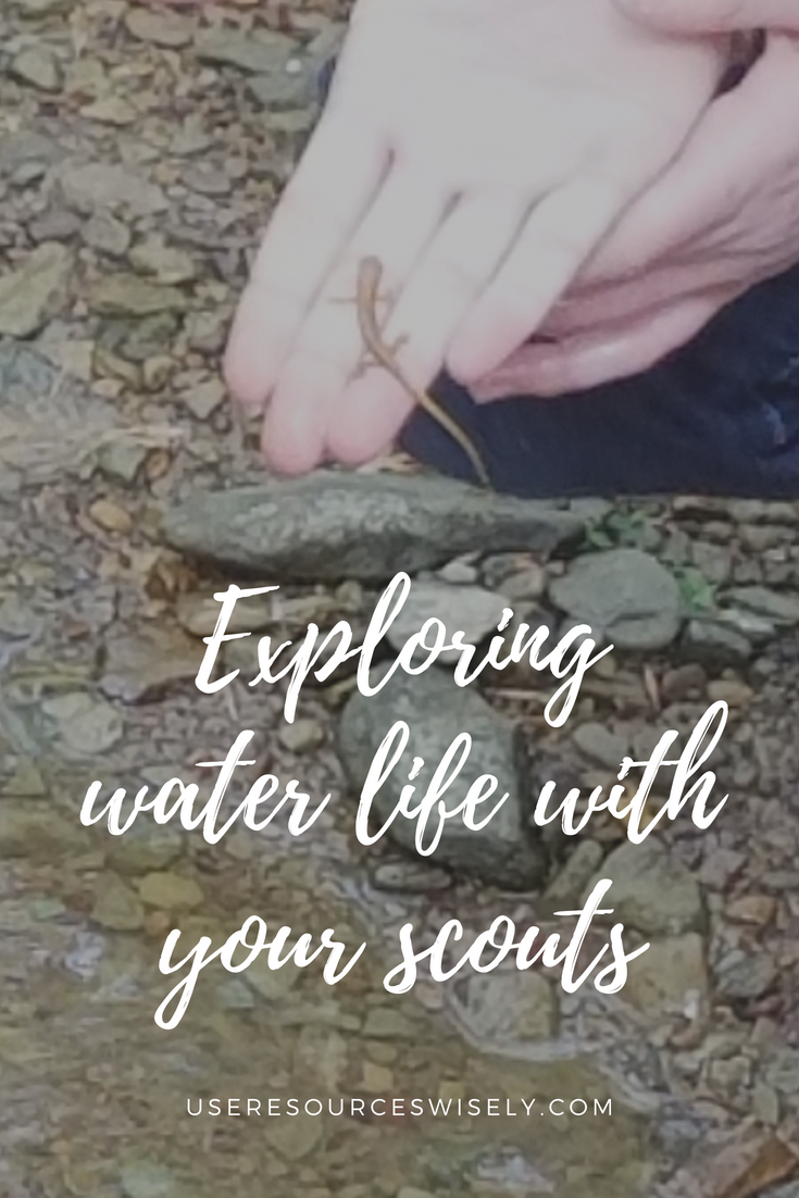Exploring Pond Life with Your Scouts – Use Resources Wisely