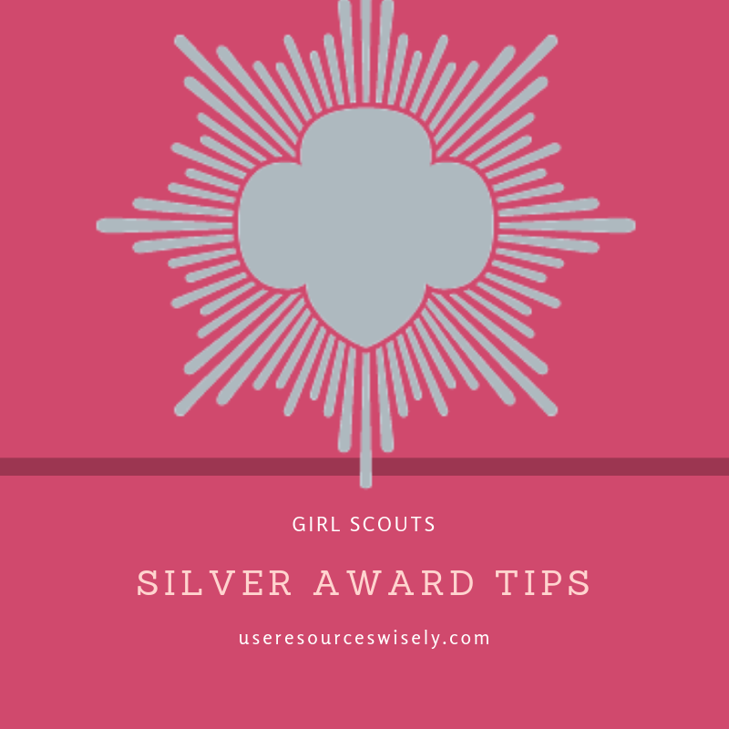 We Survived The Silver Award – Use Resources Wisely